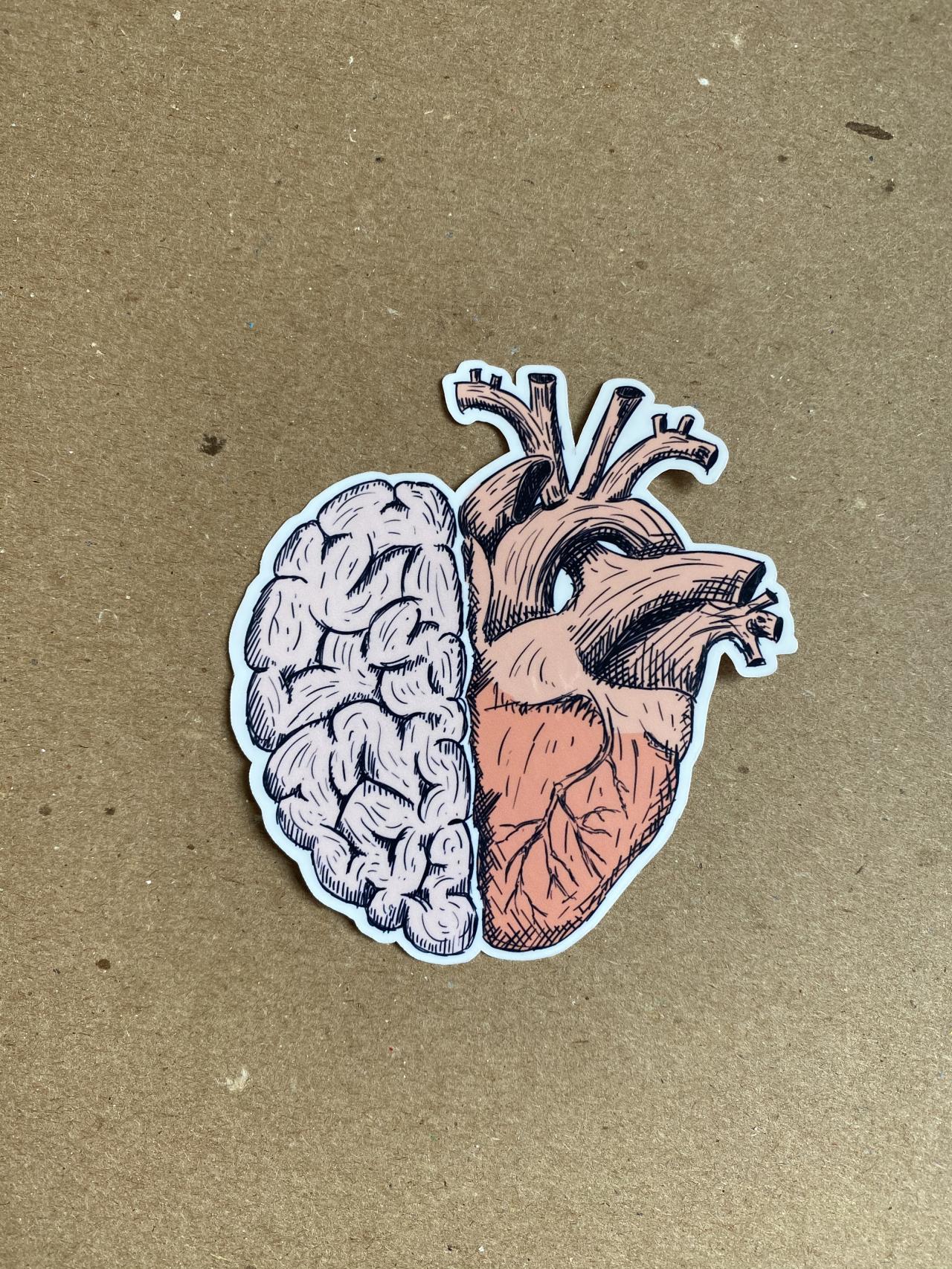 Heart Brain Sticker | Nurse Sticker | Heart Sticker | Brain Sticker ...