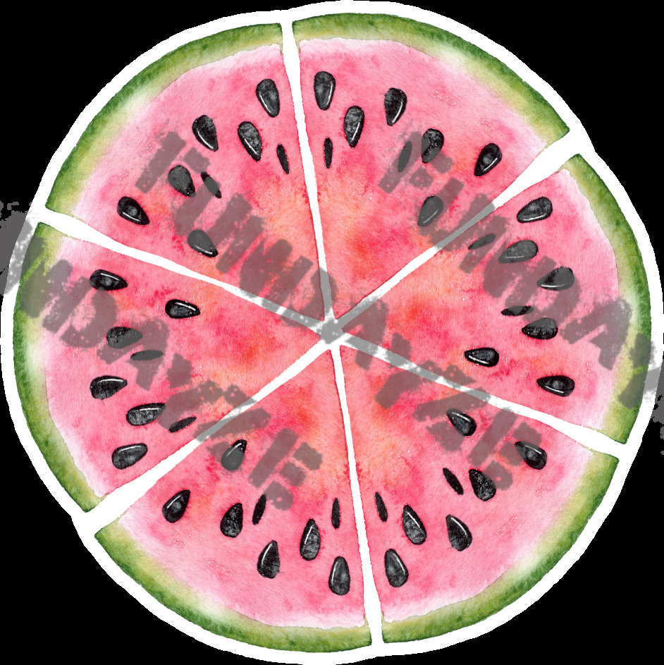 Watermelon Sticker Decal | Watercolor Sticker Deca | Laptop Sticker ...